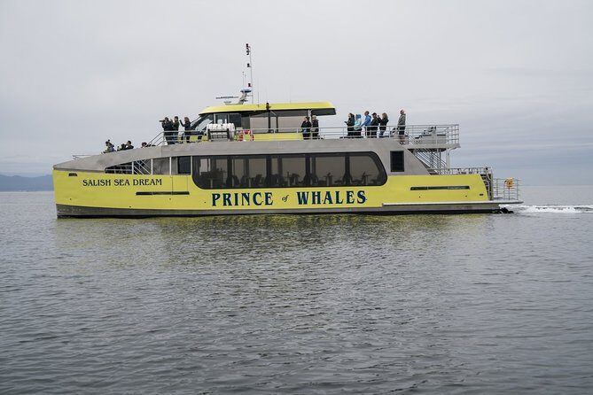Vancouver Half-Day Whale Watching Adventure with Free Photos - Value for Money: What You Get