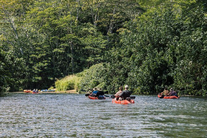 Wailua River: Kayak & Secret Waterfall Adventure - The Experience in Detail: What to Expect
