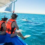 Whale sharks and sea lions snorkeling plus Balandra beach lunch - Authentic Experiences and the Guides