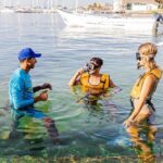 With Turtles, Shipwreck, Cenote, and Reef and Transport Included - Who Would Love This Tour?