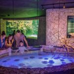 Xcaret Park Entry Tickets with Cultural Night Show Included - Who Should Consider Visiting Xcaret?