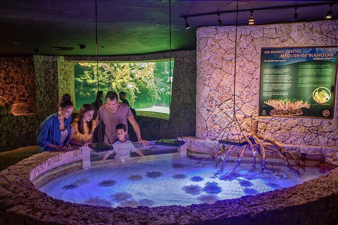 Xcaret Park Entry Tickets with Cultural Night Show Included - Who Should Consider Visiting Xcaret?