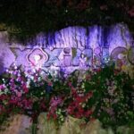 Xoximilco Ticket: Boat Fiesta, Traditional Tasting & Tequila Bar - Who Will Love This Tour?