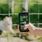 Yamnuska Wolfdog Sanctuary Walk Ticket in Canada - Practical Details and Tips