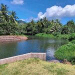 1/2 day "Treasures of Raiatea" by boat - ideal for cruise passengers - FAQs