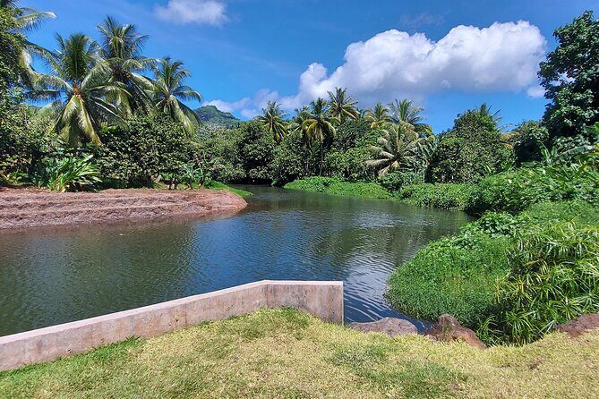 1/2 day "Treasures of Raiatea" by boat - ideal for cruise passengers - FAQs