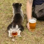 1.5-Hour Beer and Puppies Guided Experience in Fairbanks - Why This Tour Delivers Value