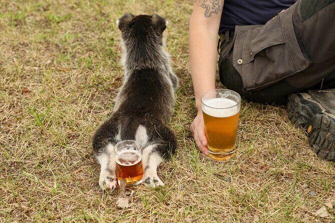 1.5-Hour Beer and Puppies Guided Experience in Fairbanks - Why This Tour Delivers Value