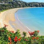 1.5h Waiheke Guided Scenic Tour in our Electric Van - What’s Included & What’s Not