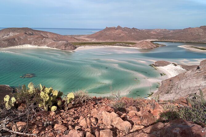 #1 Beach in La Paz BALANDRA Perfect For Cruise Groups or Families - Why this tour offers excellent value