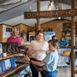 1 Day Alice Explorer - What Makes This Tour Value for Money?