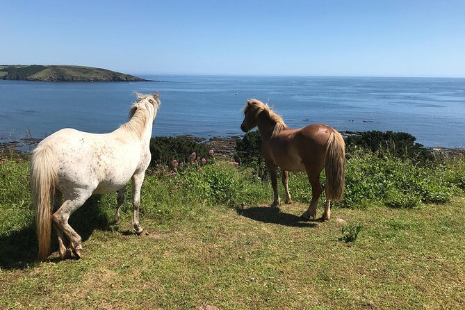 1 Day Exclusively Private Tour Of Phillip Island & The Penguin Parade - FAQ
