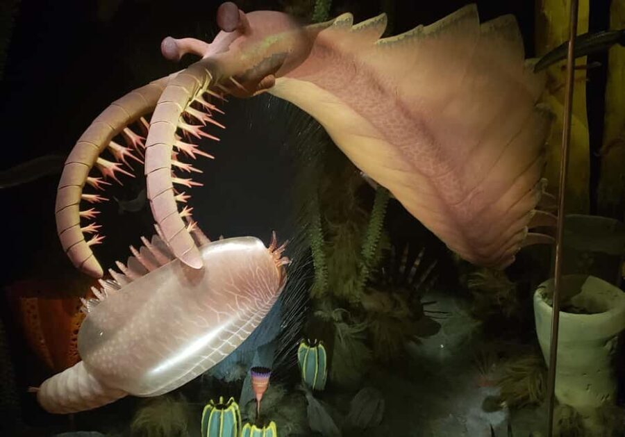 1 Day of Drumheller Dinosaurs and Badlands Guided Tour - A Deep Dive into the Experience