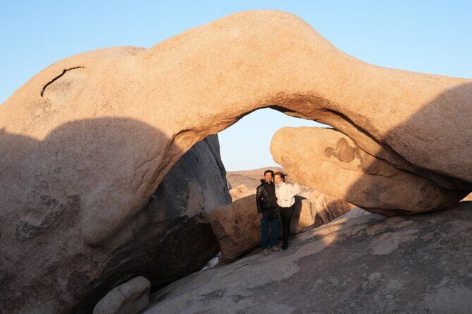 1-day Private Tour to Joshua Tree National Park from Los Angeles - Transportation and Logistics