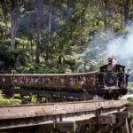 1 day Puffing Billy Steam Train and Wildlife Tour from Melbourne - What to Keep in Mind