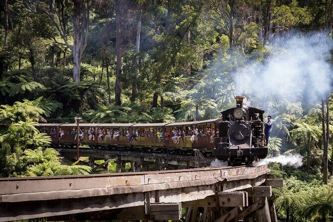 1 day Puffing Billy Steam Train and Wildlife Tour from Melbourne - What to Keep in Mind
