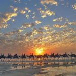 1 Hour Broome Sunset Camel Tour - Why This Tour Offers Real Value
