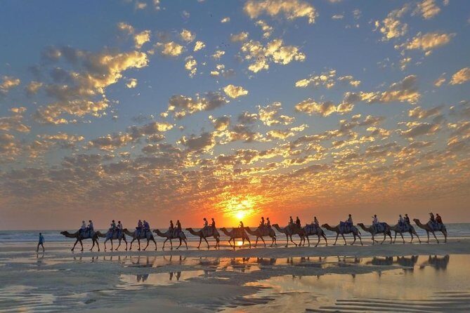 1 Hour Broome Sunset Camel Tour - Why This Tour Offers Real Value