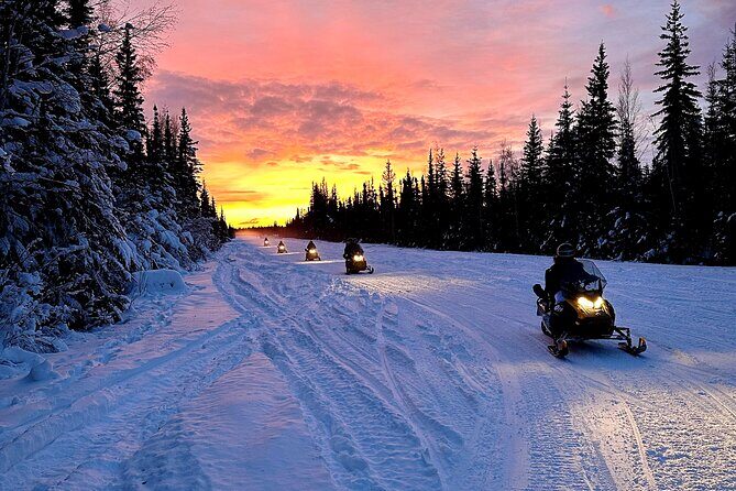 1 Hour Double Rider Snowmobile - The Snowmobile Experience in Fairbanks—What You Can Expect