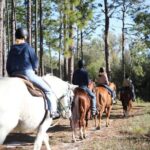 1 Hour Guided Horseback Trail Ride Rock Springs Run State Reserve - Practical Details