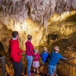 1-Hour Guided Tour of Aranui Cave Waitomo - The Experiences Value