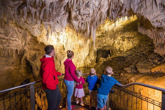 1-Hour Guided Tour of Aranui Cave Waitomo - The Experiences Value