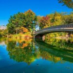 1 Hour Private Guided Tour - Why Choose a Private Pedicab Tour?