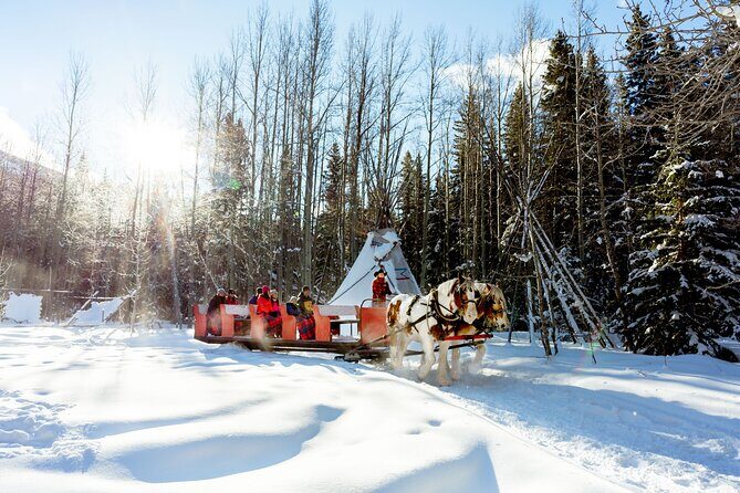 1 Hour Shared Winter Sleigh Ride Experience in Kananaskis - Authentic Experiences and Tips from Reviewers