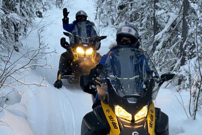 1 Hour Snowmobile Adventure in Yellowknife - What Makes This Tour Stand Out?