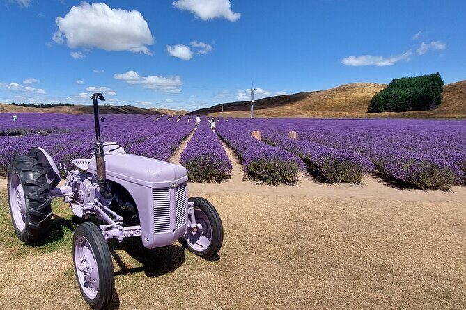 12 Day New Zealand Private Tour from Auckland to Queenstown - Traveling Between Islands and Beyond