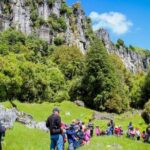 12-Hour LOTR Trollshaws & Waitomo Glowworm Tour - Experience and Guide Quality
