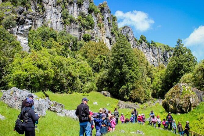 12-Hour LOTR Trollshaws & Waitomo Glowworm Tour - Experience and Guide Quality