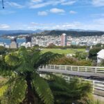 14 Day Northern Kiwi Small Group Tour - Starting in Auckland — The City of Sails