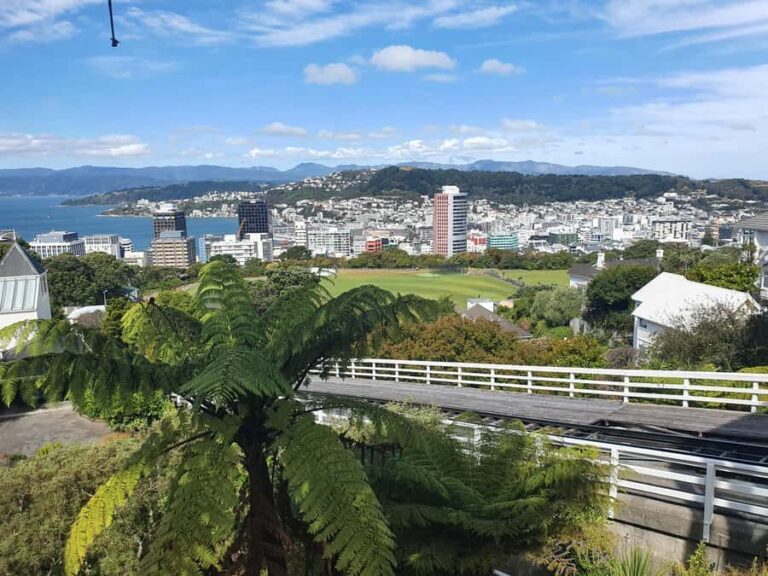 14 Day Northern Kiwi Small Group Tour - Starting in Auckland — The City of Sails