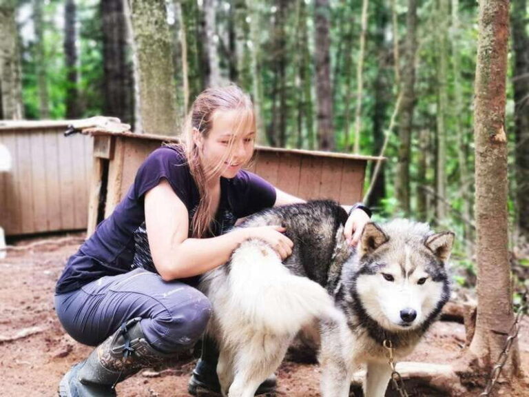 15 min. Tadoussac : Behind-the-Scenes Sled Dog Kennel Tour - What Makes This Tour Special?