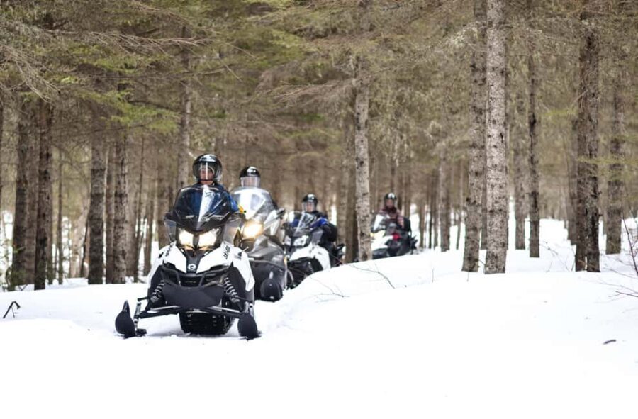 15 min. Tadoussac: Snowmobile Expedition in Saguenay Fjord - Is This Tour Worth It?