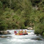 15,000ft Tandem Skydive in Bay of Plenty - Who Should Consider This Tour?