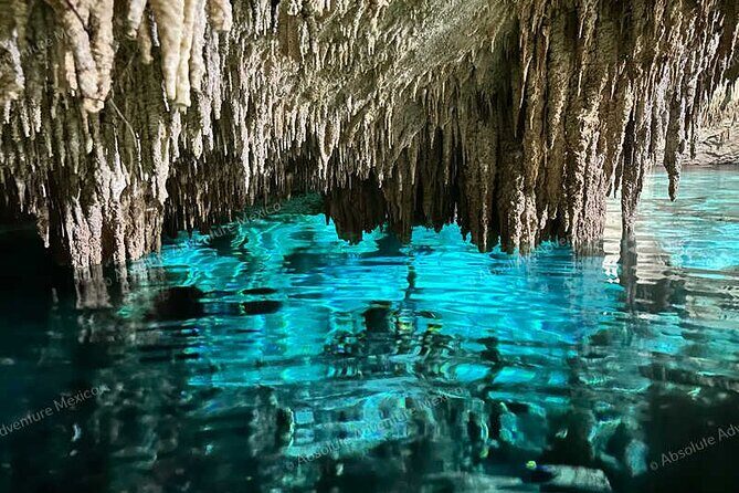 2 Cenotes Private Tour  VIP Adventure with Expert Guide - Who Should Consider This Tour?