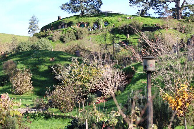 2-Day Hobbiton, Rotorua, Waitomo Caves Tour from Auckland with Accommodation - What Makes This Tour Stand Out?