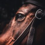 2-Day Sundance Overnight Backcountry Lodge Trip by Horseback - Who Should Consider This Tour?