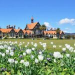 2 Day Tour Auckland to Hobbiton, Waitomo, Rotorua and Taupo - Practical Considerations