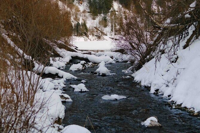 2 Day Tour Explore Charyn Canyons Kolsay and Kaindy Lake - The Itinerary in Detail