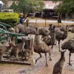 2 Day Tour to Busselton Jetty, Margaret River and South West - The Practicalities: Whats Included and What’s Not