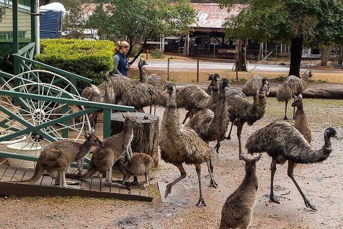 2 Day Tour to Busselton Jetty, Margaret River and South West - The Practicalities: Whats Included and What’s Not