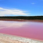 2 Days Kalbarri and Pink Lake Tour Monday Departure - Why This Tour Offers Great Value