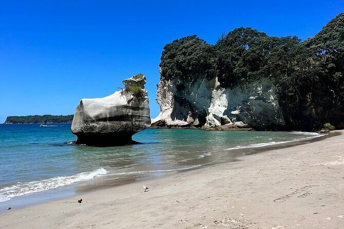 2 Days Private Tour in Coromandel Peninsula from Hamilton - FAQs