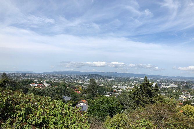 2 Days Tours from Auckland to Rotorua - Whats Included and How It Adds Value