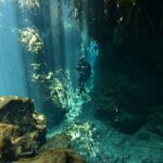 2 dives in Cenote Dos ojos Certified Divers - The Logistics: From Meeting to Finish