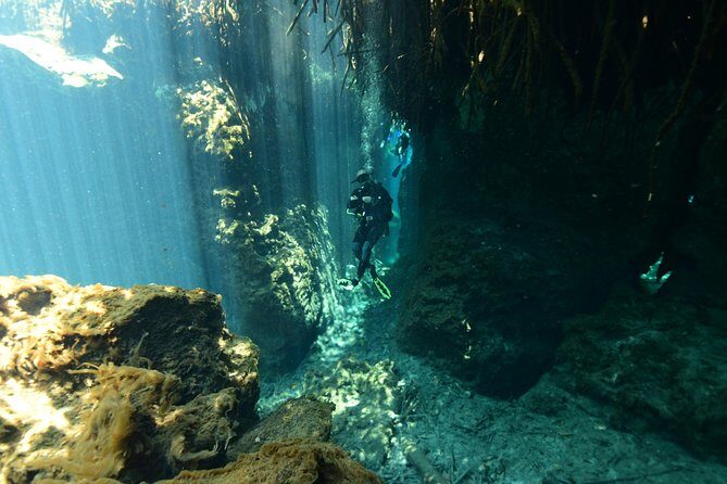 2 dives in Cenote Dos ojos Certified Divers - The Logistics: From Meeting to Finish