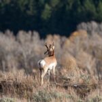 2-Hour, 4-seat ATV Rental next to Bryce National Park - Who is This Tour Best For?